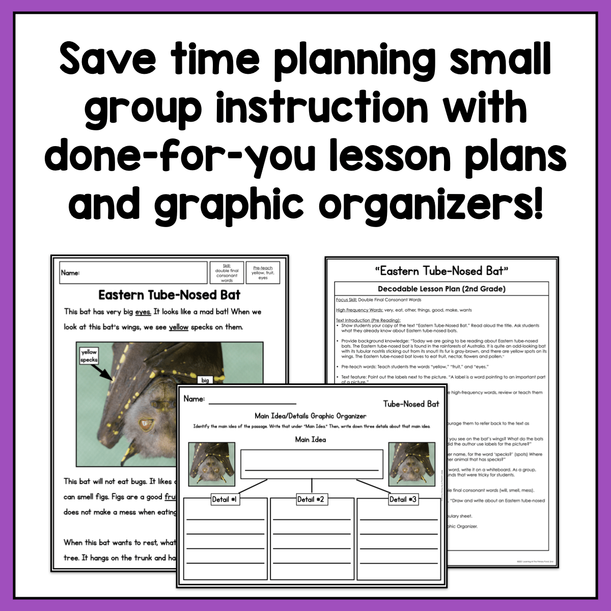 Decodable Safari Texts | Nonfiction Decodable Passages for Second Grad ...