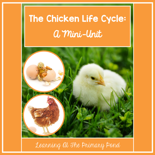 Life Cycle of a Chicken | Science and Literacy Unit – Learning at the ...