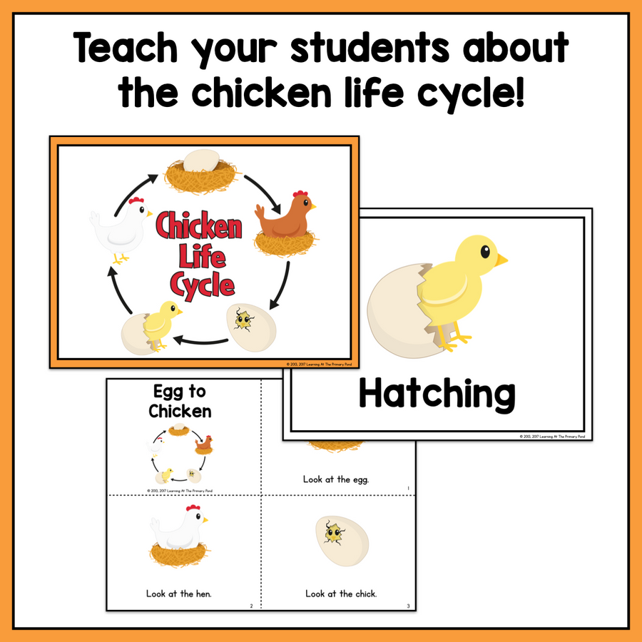 Life Cycle of a Chicken | Science and Literacy Unit – Learning at the ...