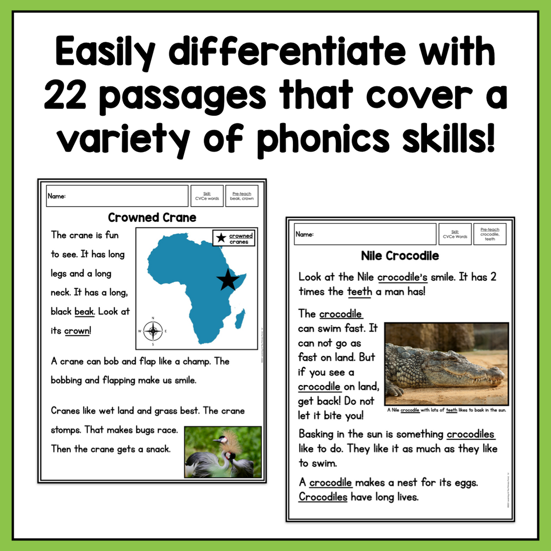 Decodable Safari Texts | Nonfiction Decodable Passages for First Grade ...