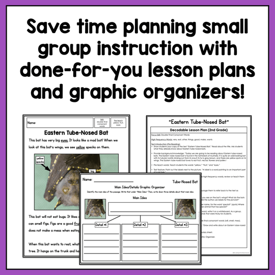 Decodable Safari Texts | Nonfiction Decodable Passages for Second Grad ...